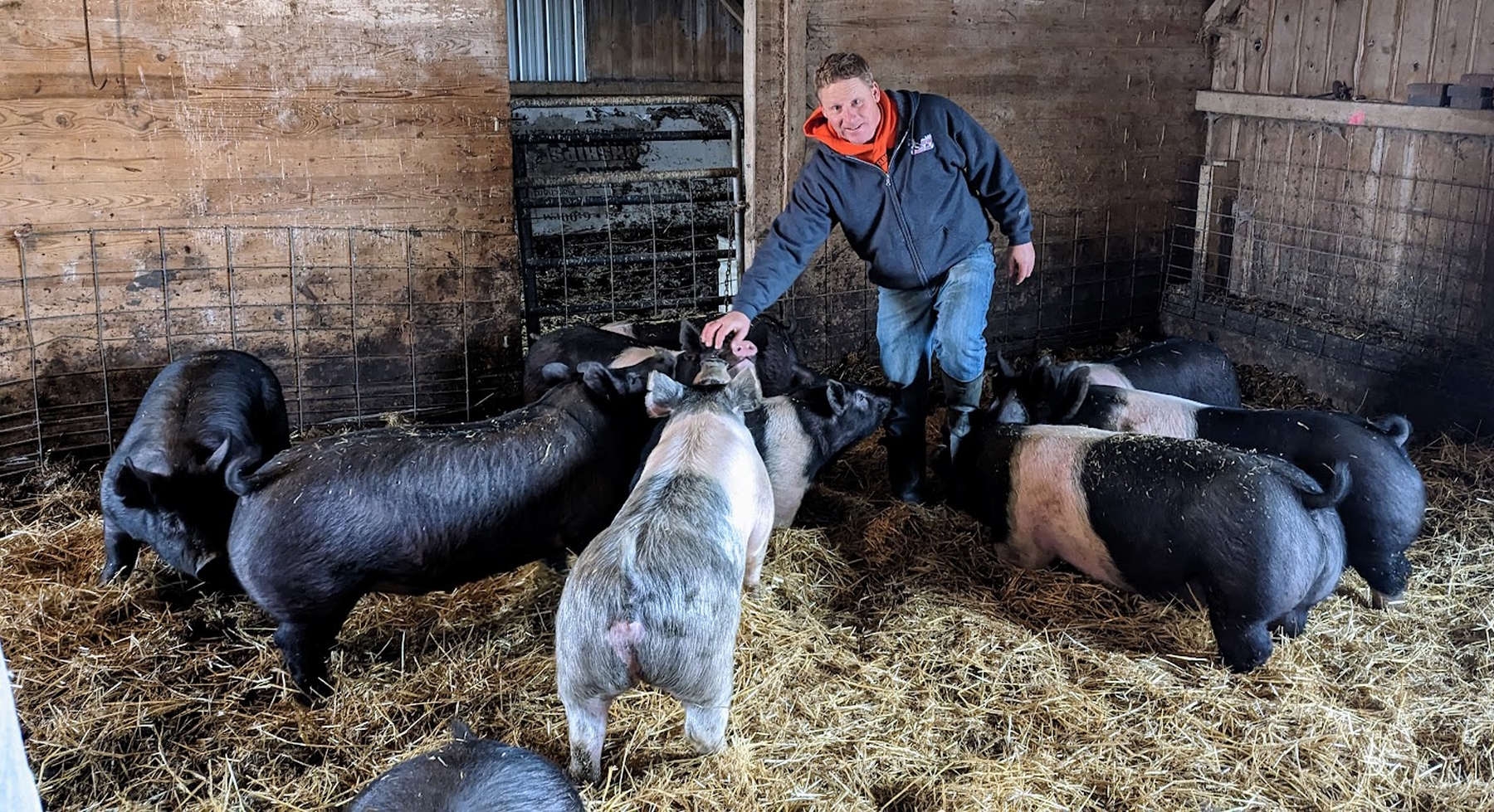Raising pigs - Riehm Produce Farm